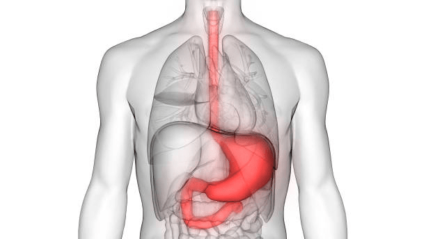 Gastric Conditions: Peptic Ulcer Disease and Acid Reflux